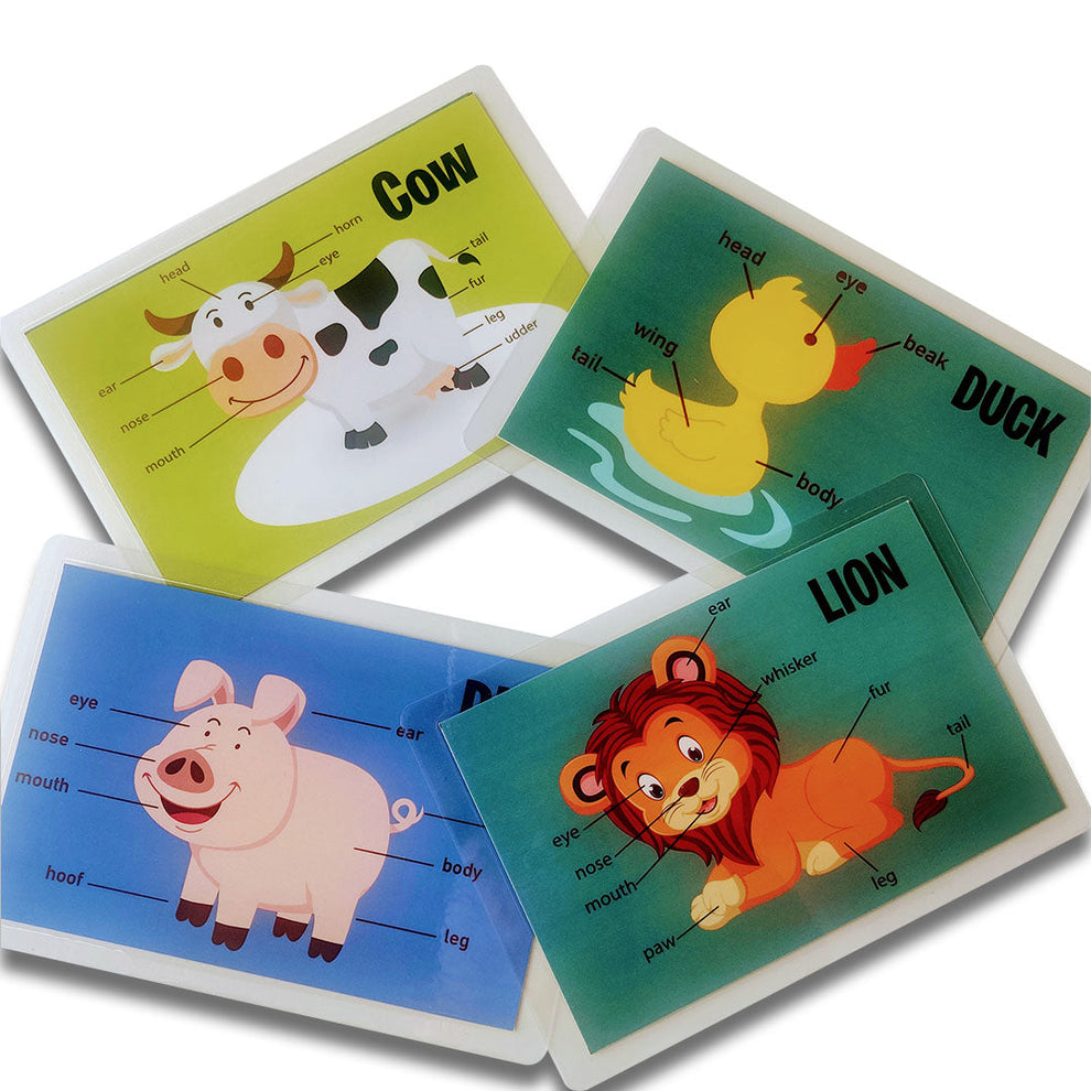 Animal Body Parts Flashcards – Zooplay India